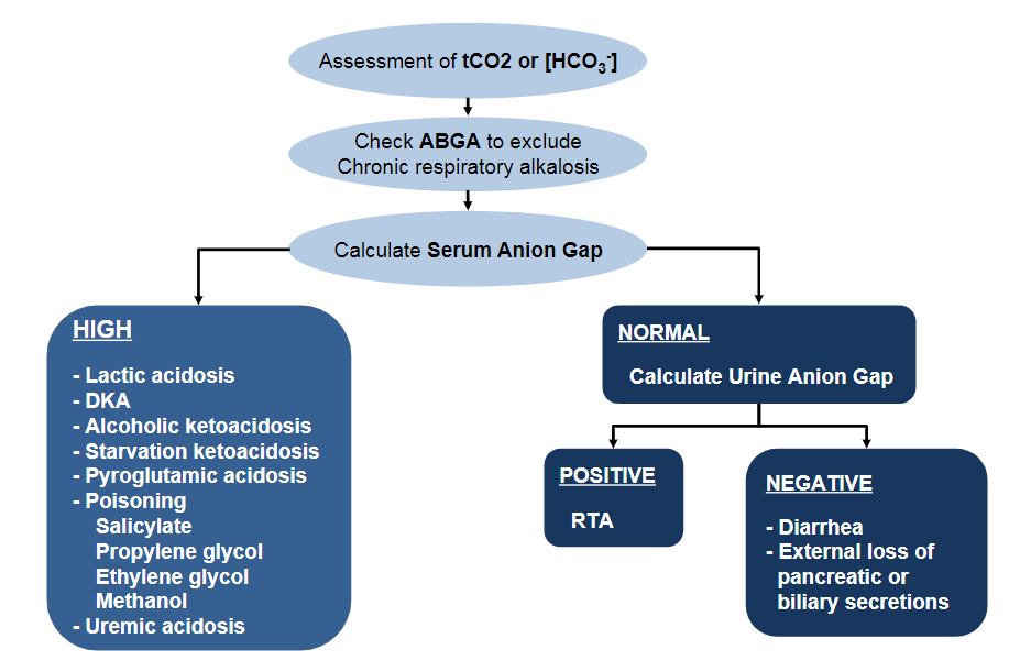 Anion Gap + Delta AG Delta bicarbonate ratio 계산기 – 의학계산기