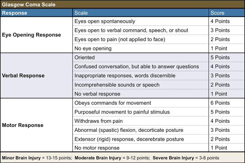 GCS (Glasgow Coma Scale) 계산기 – 의학계산기
