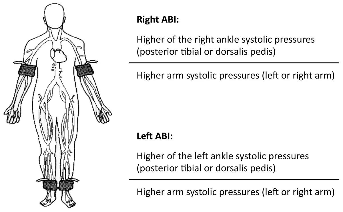 ABI (Ankle-Brachial index) 계산기 - 의학계산기