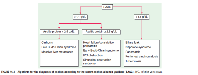 SAAG (serum-ascites albumin gradient) 계산기 - 의학계산기
